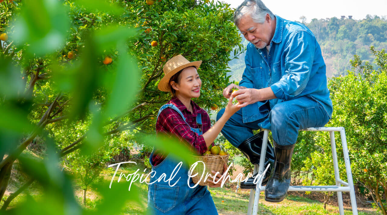 Robin @ Bandar Rimbayu | IJM Land Berhad | New 2-storey Link Homes for ...